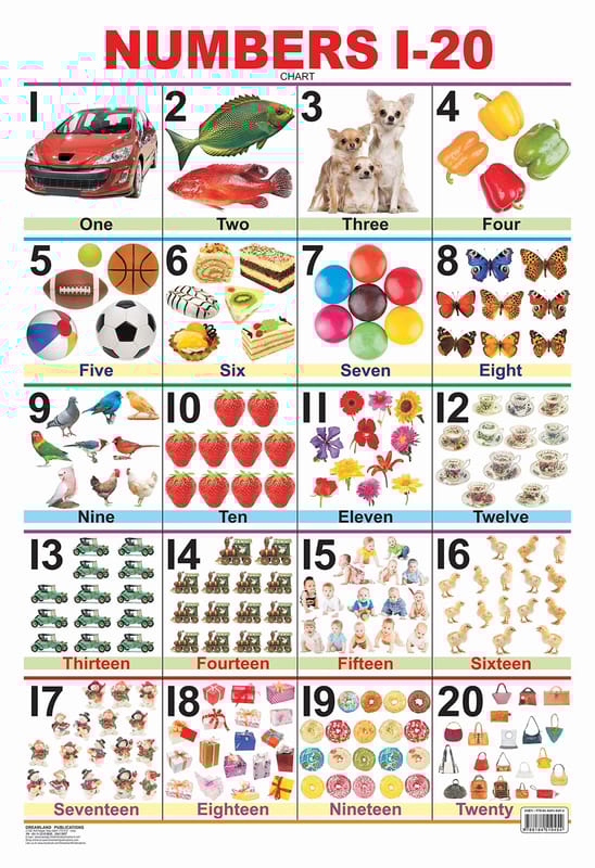 Numbers 1-20 Educational Wall Chart For Kids - Both Side Hard Laminated ...