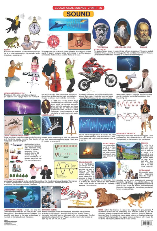Sound Wall Chart (Science Chart) - Both Side Hard Laminated (Size 48 x ...