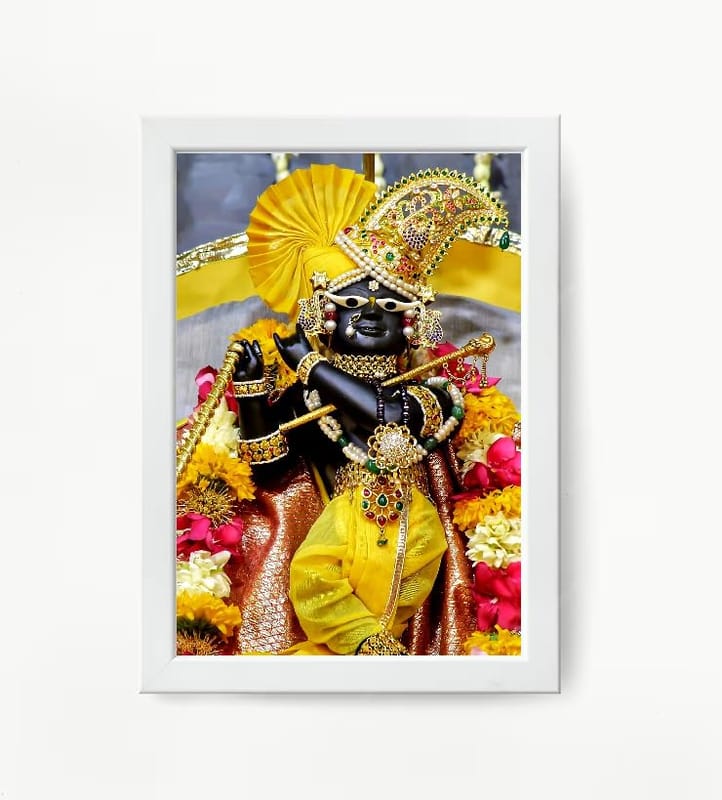 NOKKES Radha Raman Ji Vrindavan Radha Raman Thakur Ji White Photo ...
