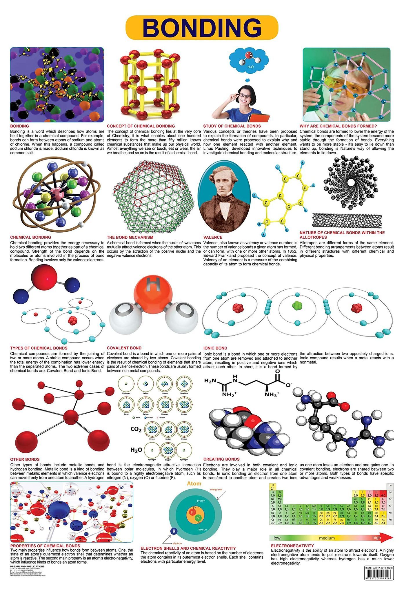 Bonding Wall Chart (Science Chart) - Both Side Hard Laminated (Size 48 ...