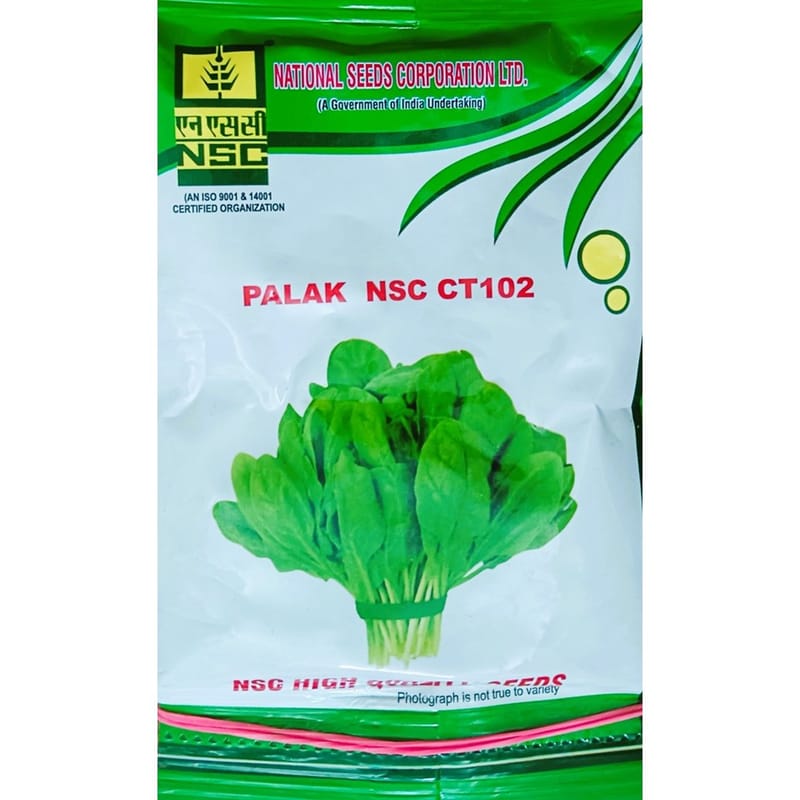 NSC Palak Variety NSC CT 102 Vegetable Kitchen Garden Packets 60 gm ...