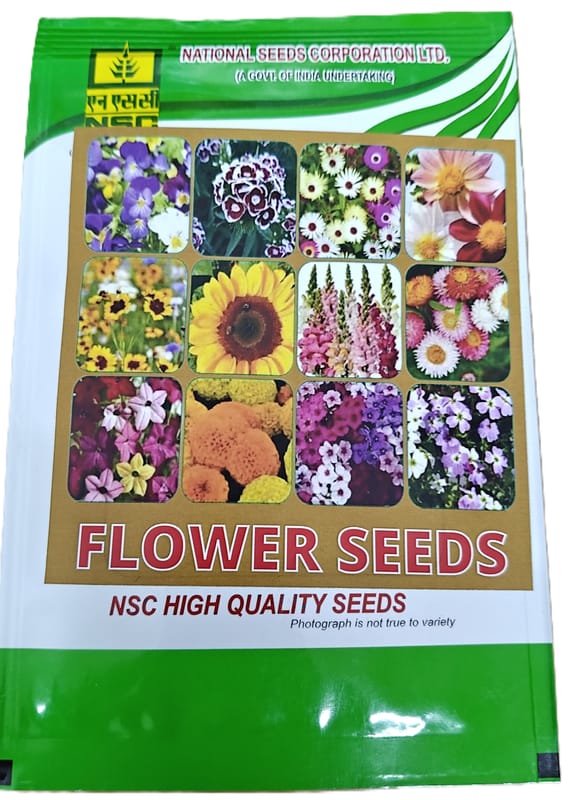 NSC Gompherena Choice mixed (globosa) variety (100 flower seeds)