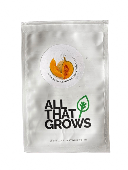 ALLTHATGROWS Vegetable Seeds Kit