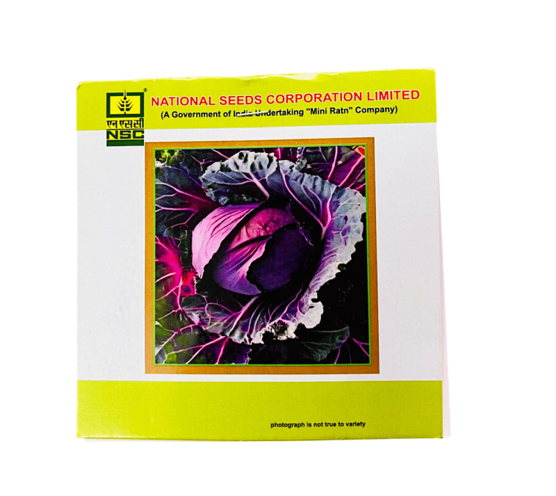 NSC Cabbage Variety – Pusa Red Cabbage Hybrid-I | High-Quality T/L ...