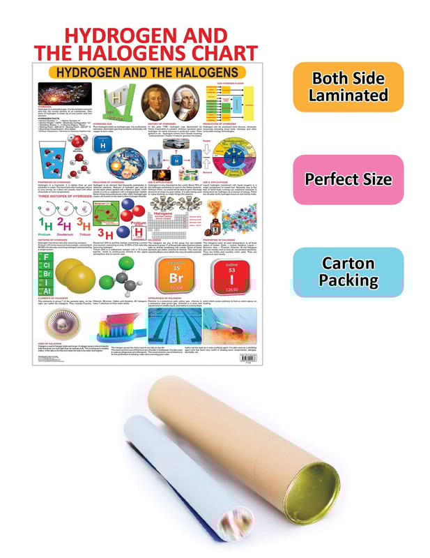 Hydrogen & the Halogens Wall Chart (Science Chart) - Both Side Hard ...