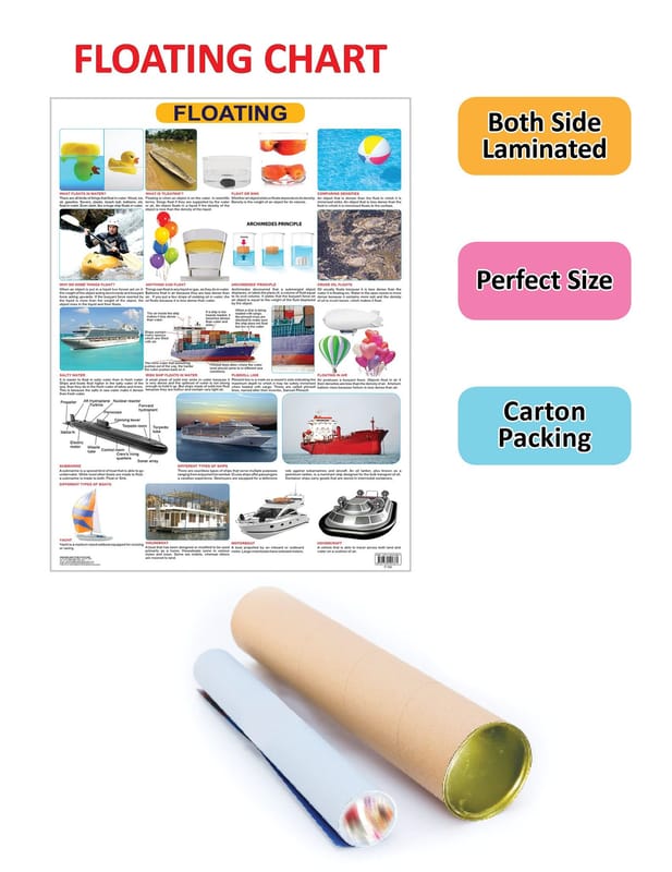 Floating Wall Chart (Science Chart) - Both Side Hard Laminated (Size 48 ...