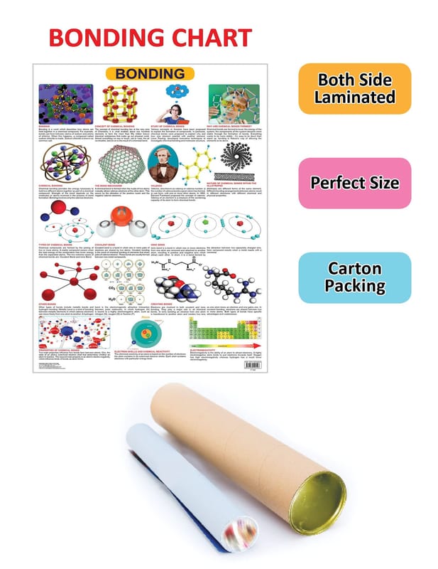 Bonding Wall Chart (Science Chart) - Both Side Hard Laminated (Size 48 ...