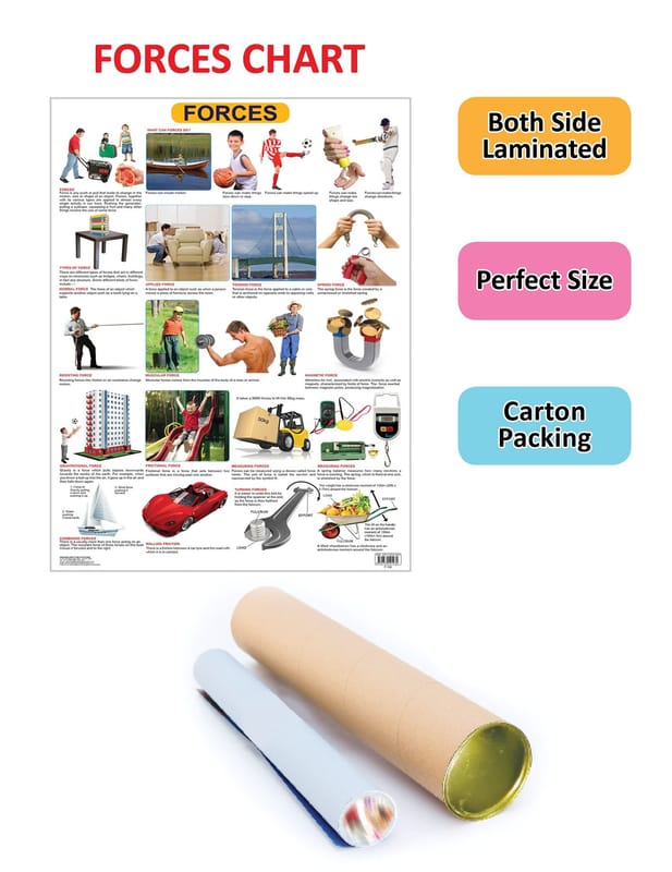 Forces Wall Chart (Science Chart) - Both Side Hard Laminated (Size 48 x ...
